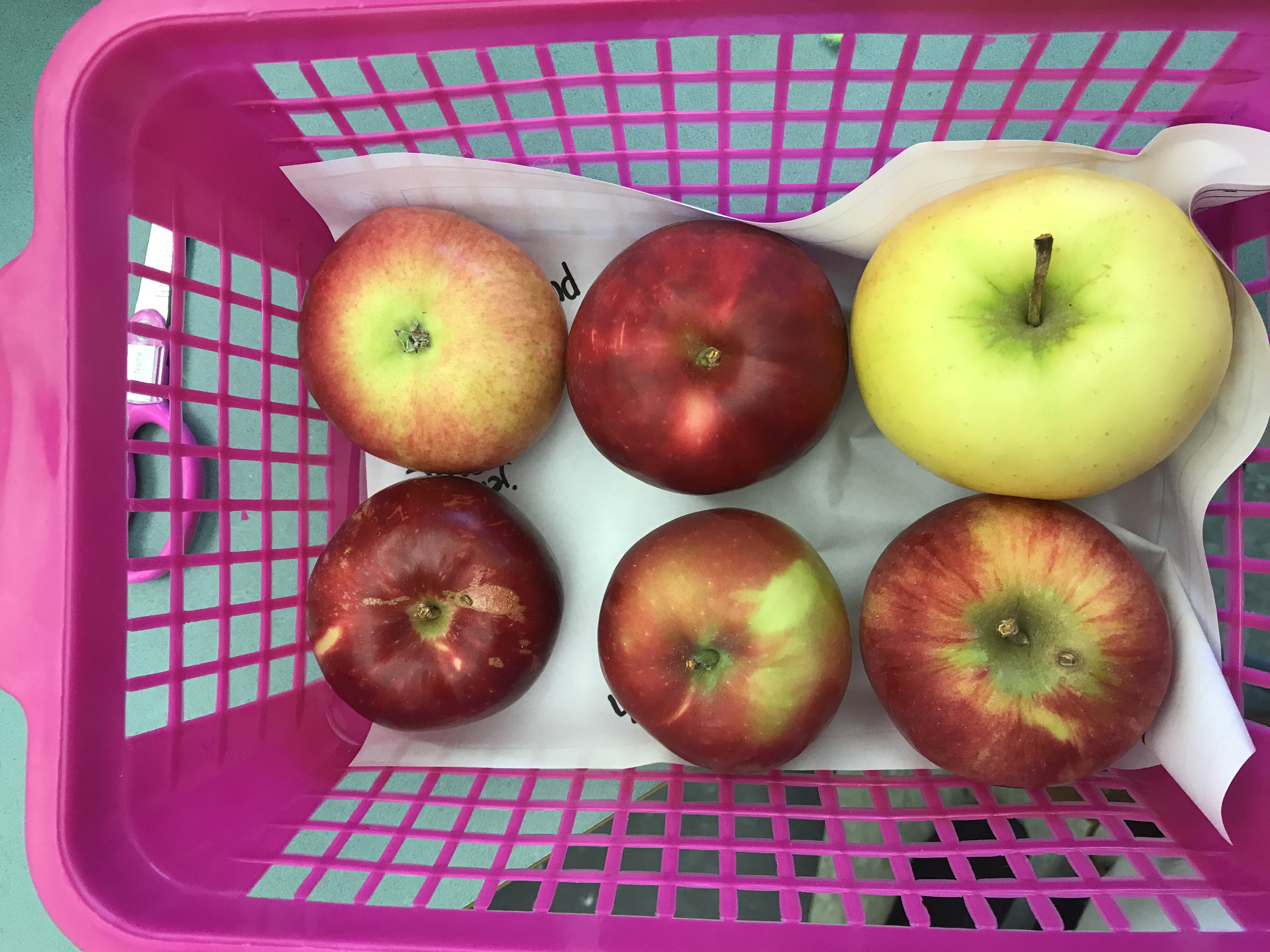 4EF8665E-91EC-4752-B1CF-782E2C3F7AA7 – Stratton School