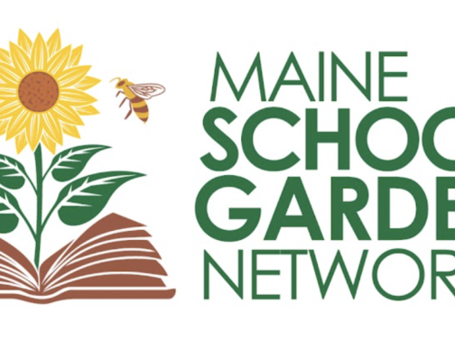 Stratton School – Come grow with us!